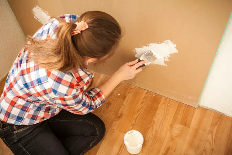 13 Ways to Protect Your Drywall From Your Dog